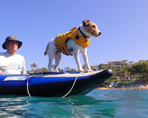 How to Build a Doggie Deck for an Inflatable Kayak - Portable Kayaks